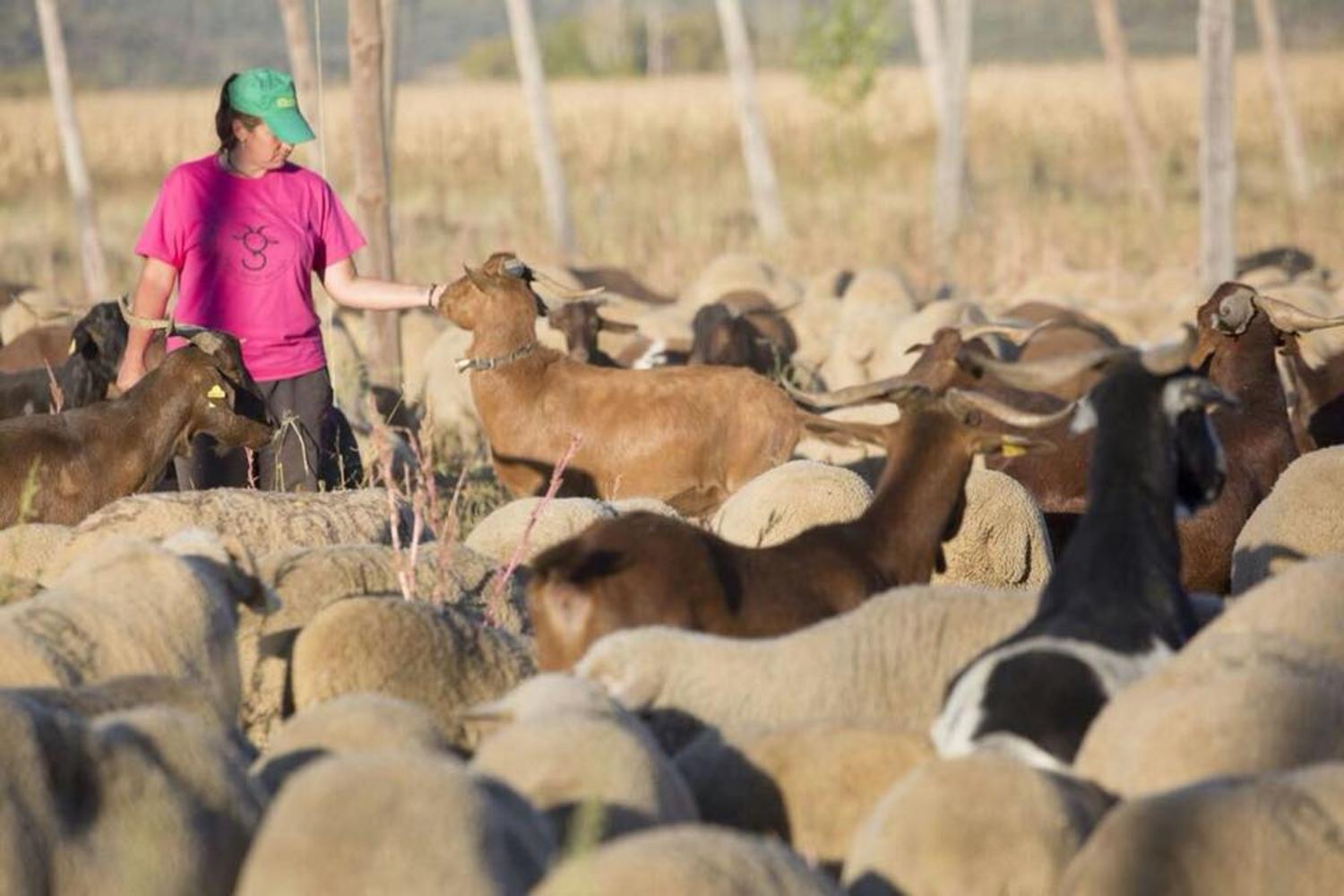 Mujeres ganaderas, una labor esencial para la vida - El Salto - Edición ...
