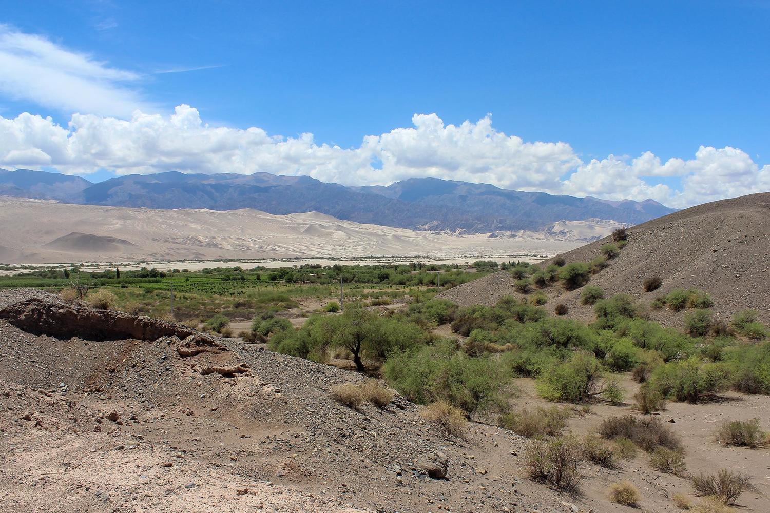 Triángulo del litio: contaminación, colonialismo y excesos en la ...
