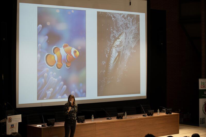 Aula Animal y Animals’ View invitan a docentes a introducir el respeto ...