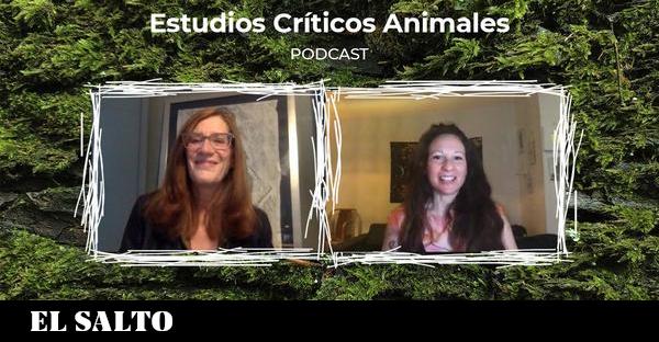 Ruth Toledano: pionera del periodismo antiespecista en España - El ...